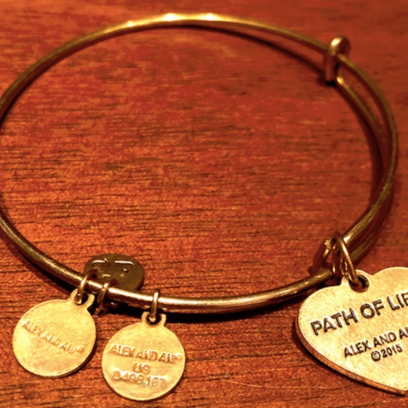 Alex and Ani | Jewelry | Alex Ani Bangle Set | Poshmark